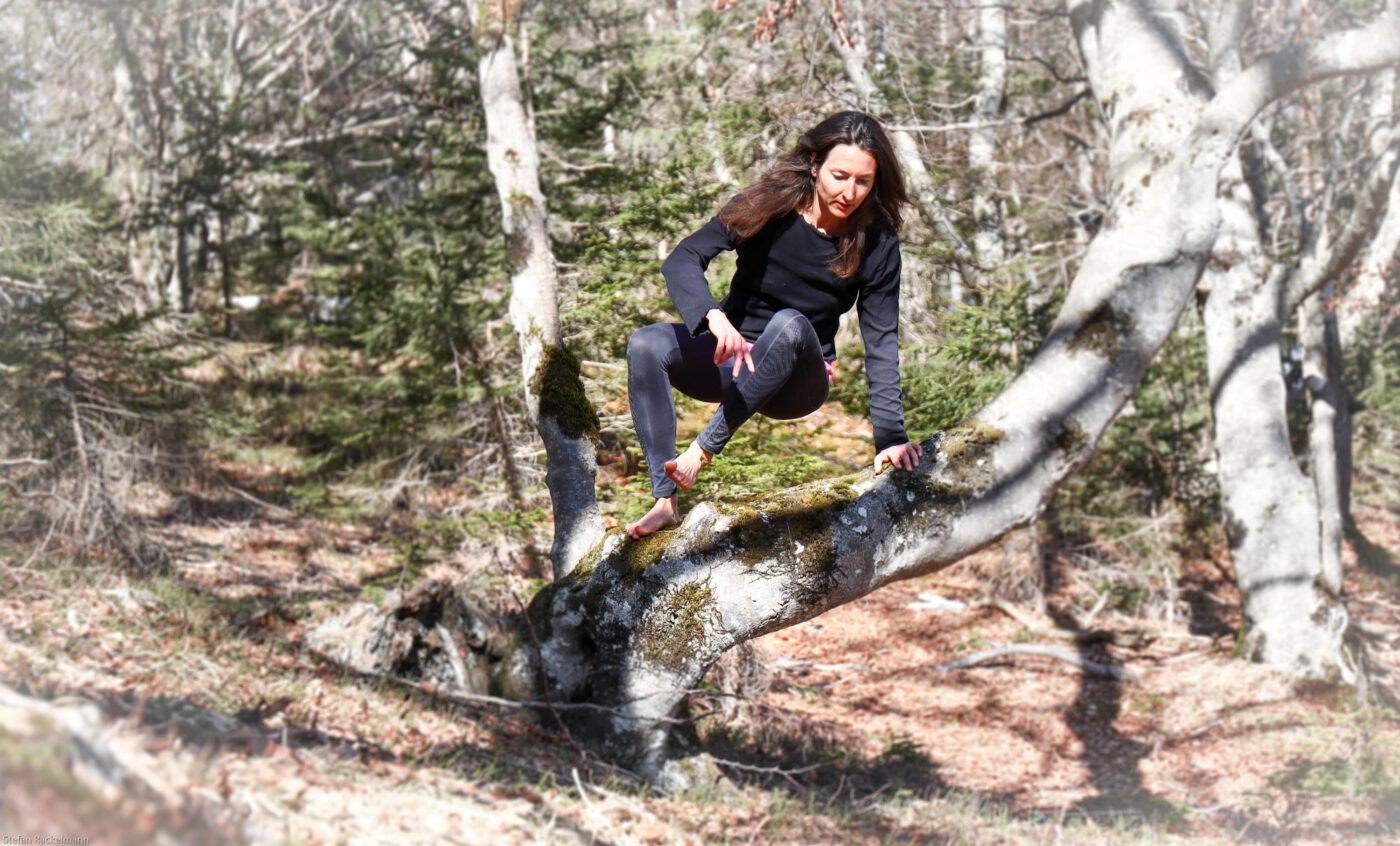 Natural Movement & Animal Flow - Learn to flow